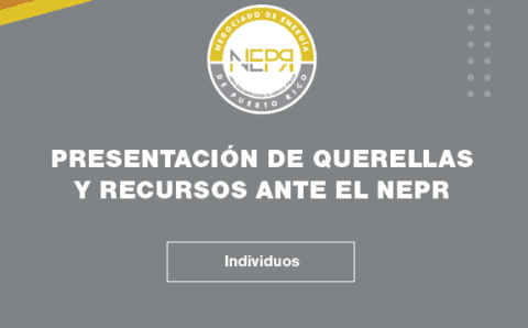 Presentación Querellas y Recursos – Individuo – NEPR